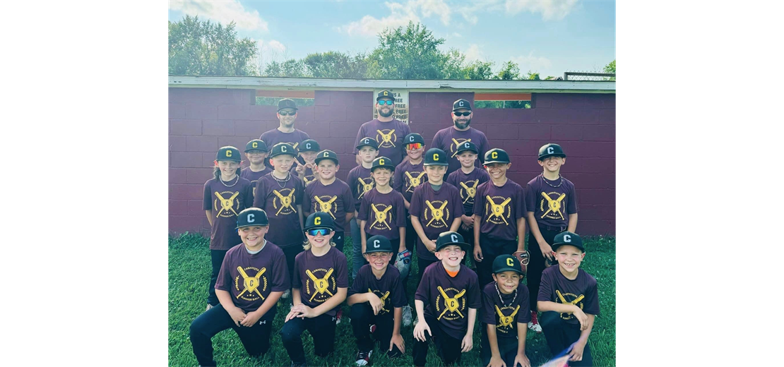 Home [canastotalittleleague.org]